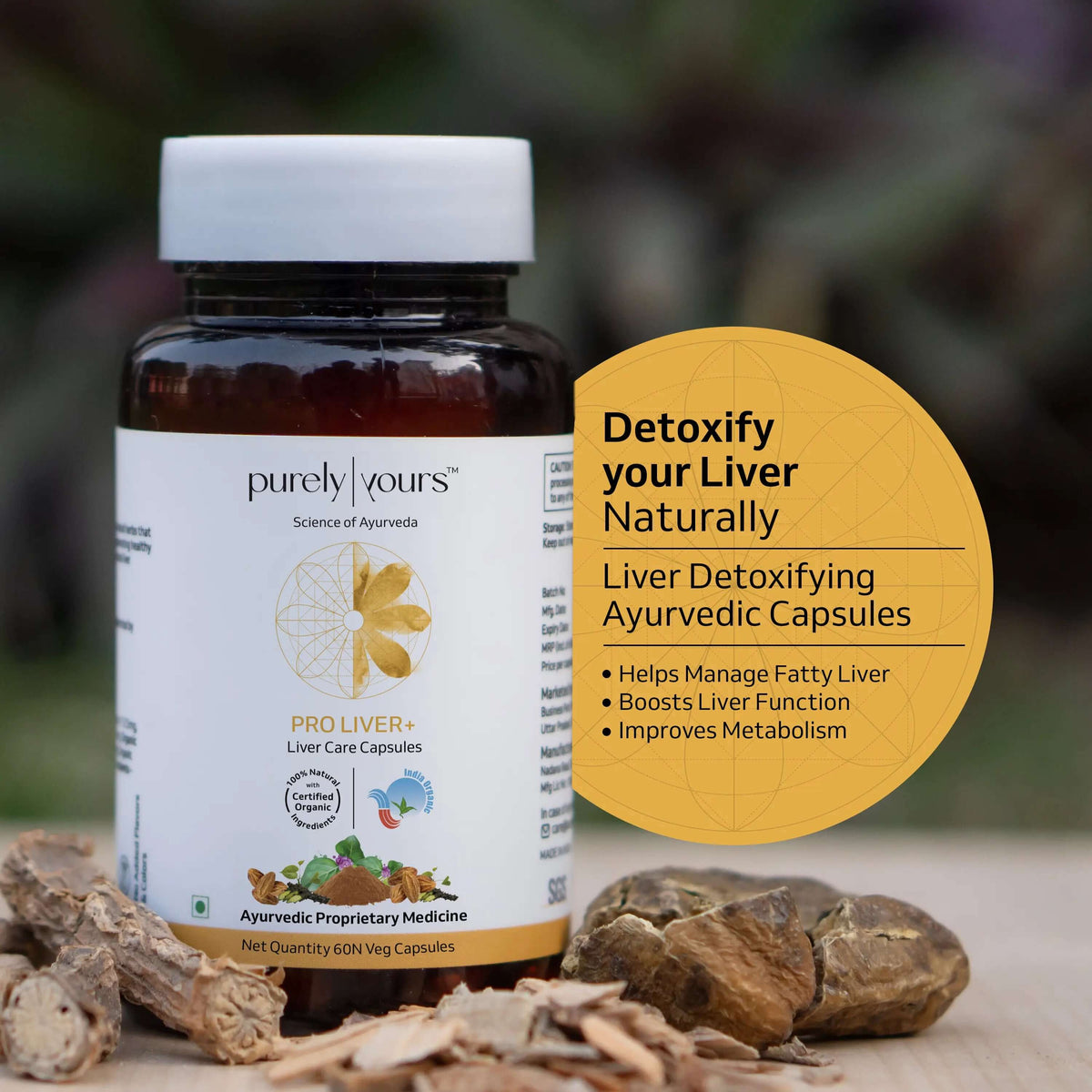 Pro Liver + | Ayurvedic Liver Cleanse and Detox | 60 Capsules ...